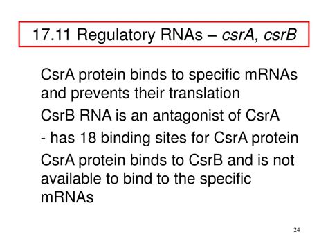 Ppt 17 1 Roles Of Rna Molecules Powerpoint Presentation Free