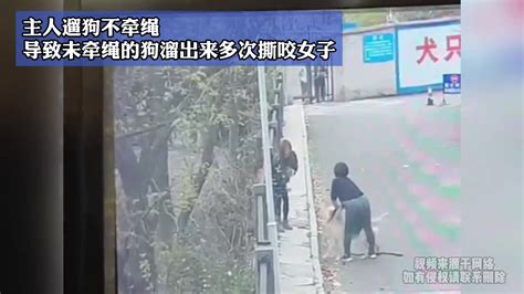 主人遛狗不牵绳，导致未牵绳的狗溜出来多次撕咬女子