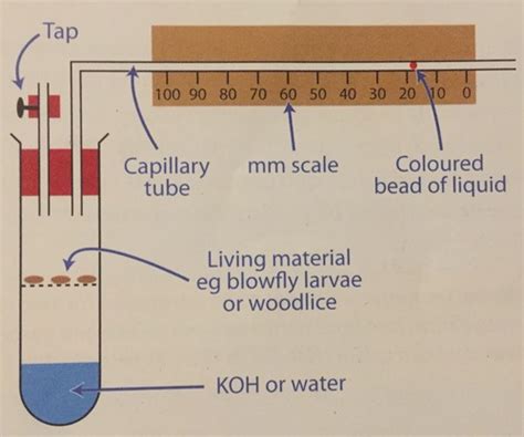 Biology Practical Respirometer Flashcards Quizlet