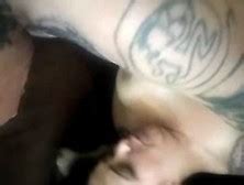 Tweaker Tube Search Videos Page