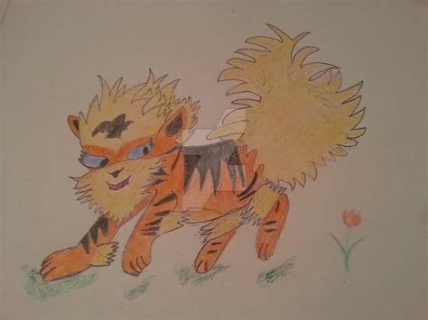 Colored Chibi Arcanine By Danjaphotos On Deviantart