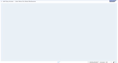 SAP GUI Screen Is Blank When A Default Flavor Is S SAP Community