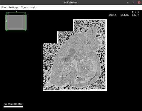 Ome Zarr Bioimage Analysis Training Resources