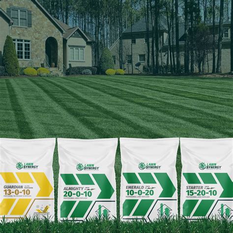 Best Grass Seed For Georgia Top Picks For Your Lawn