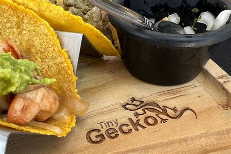 Tiny Gecko ~ Isla Mujeres Net