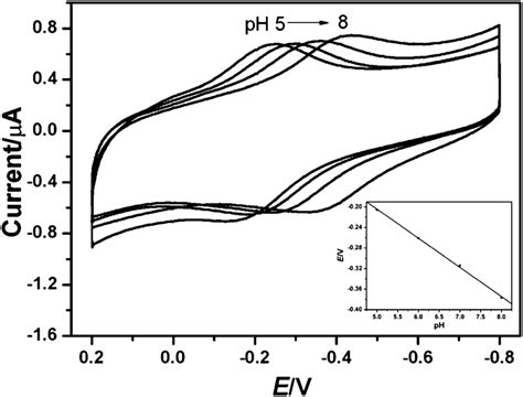 Cyclic Voltammograms Of Zno Chi Mb Modified Electrode Measured With Download Scientific Diagram