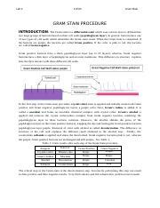 Understanding The Gram Stain Procedure A Comprehensive Guide Course Hero