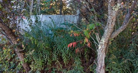 Control InsightWeeds