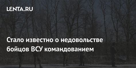 Стало известно о недовольстве бойцов ВСУ командованием Украина Бывший СССР