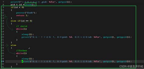 Linux系统 —— 进程系列 进程的概念，pcb与pid和forkpcb Pid Csdn博客