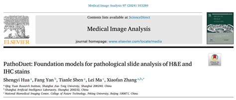 上交团队发布pathoduet：面向hande和ihc病理切片的自监督学习基础模型｜文献精析·24 09 09 csdn博客