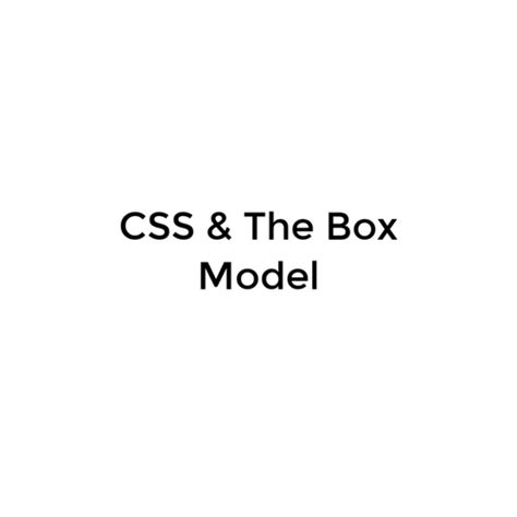 Basic Css And The Box Model