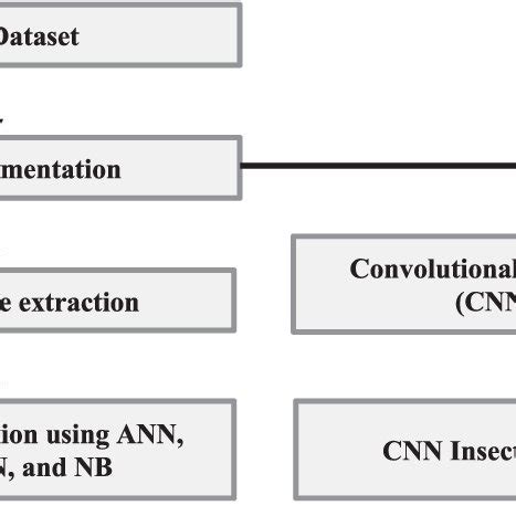 PDF Insect Classification And Detection In Field Crops Using Modern Machine Learning Techniques
