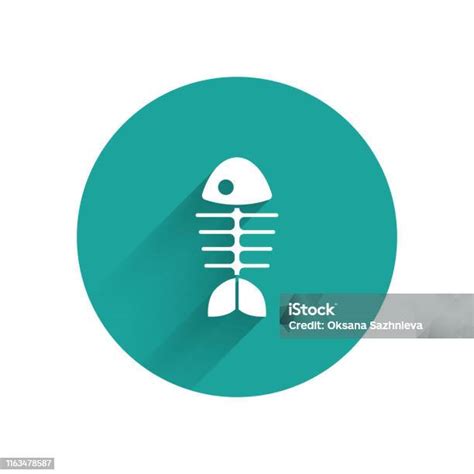 긴 그림자로 격리 된 흰색 물고기 해골 아이콘입니다 물고기 뼈 기호입니다 녹색 원 버튼입니다 벡터 일러스트레이션 대규모 개체 그룹에 대한 스톡 벡터 아트 및 기타 이미지