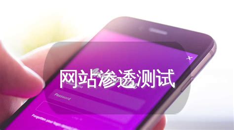 网站漏洞测试难度有多大 安全技术 亿速云