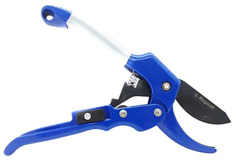 Секатор 200 Мм с Храповым Механизмом Rapide R3079 — Купить на Bigl Ua ᐉ Удобная Доставка
