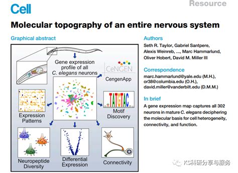 不好好作图的ncs系列四：ggplot2绘制多彩火山图转录组差异基因火山图绘制 R语言ggplot Csdn博客