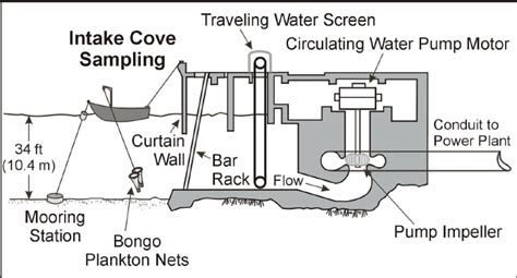 Cross Section View Of The Dcpp Intake Structure Illustrating The Download Scientific Diagram