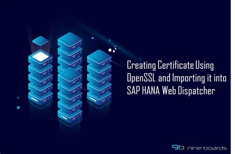 Creating Certificate Using Openssl And Importing It Into Sap Hana Web Dispatcher Nine Boards
