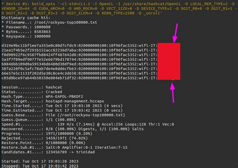Hacking WPA3 WiFi Networks EMVee