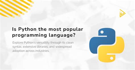 Eugene Dokuzov On Linkedin 🤔 Are You Coding With Python In Your Tech Journey Or Do You Prefer