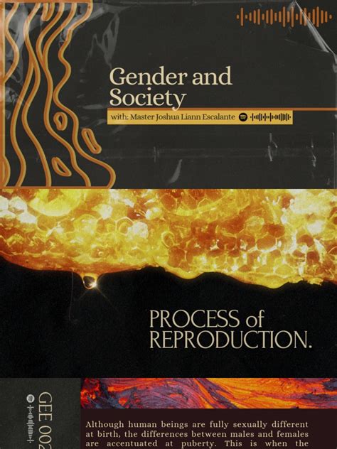 Gender And Society Download Free Pdf Menstrual Cycle Miscarriage