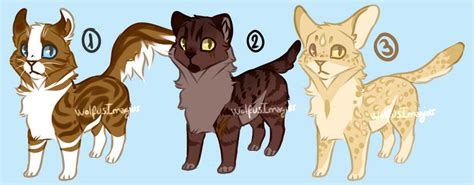 Cat Adoptables Ota Closed By Wolfusimagius On Deviantart