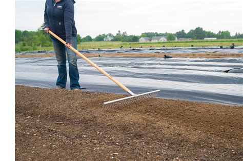 Bed Preparation Rake 2 75 Tine