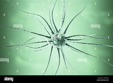 3d Rendering Virus Bacteria Cell Infected Organism Virus Abstract