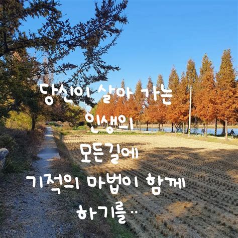 고요속의 외침 마음에 머물다 인생은 화살처럼 목표를 향해 날아가는 것도 종이배처럼 이리저리 흔들려