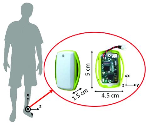 1 Sensor Placement Size And Orientation 3 Dimensional Accelerometer