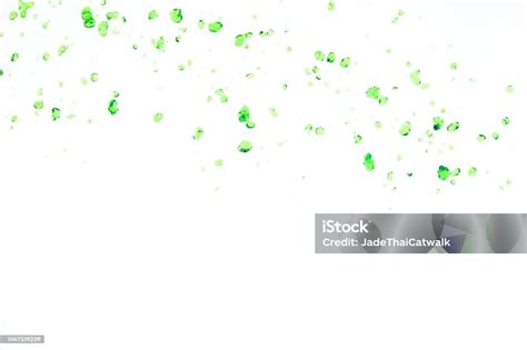 자연에서 나온 녹즙의 많은 점 방울이 공기 중에 튀어 나옵니다 물 녹색 잎은 하늘에서 쏟아져 깨끗한 자연을 정화합니다 흰색 배경 위에 물이 튀는 흐름의 많은 모양 형태 고립