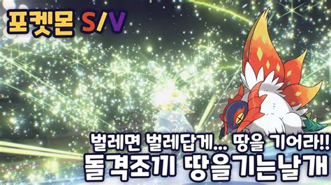 [포켓몬스터 스칼렛 바이올렛] 과거폼 무쇠무인 돌조 땅을기는날개 Youtube