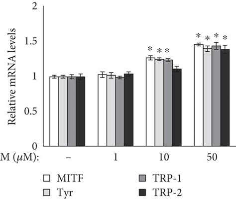Melanogenesis Was Upregulated In Human Epidermal Melanocytes A Download Scientific Diagram