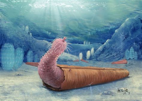 Ferocious Penis Worms Were The Hermit Crabs Of The Ancient Seas