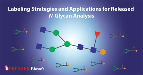 High Throughput Analysis Of Fluorescently Labeled Released N Glycans