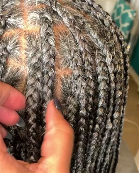 Crochet Braids Hairstyles Discover 15 Salt And Pepper Crochet Braids