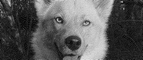 Understanding Image Dithering A Guide Media Hygiene