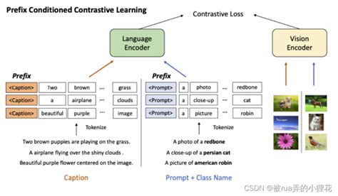 如何使用多类型数据预训练多模态模型?预训练 离散标签 Csdn博客 如何使用多类型数据预训练多模态模型?预训练 离散标签 Csdn博客