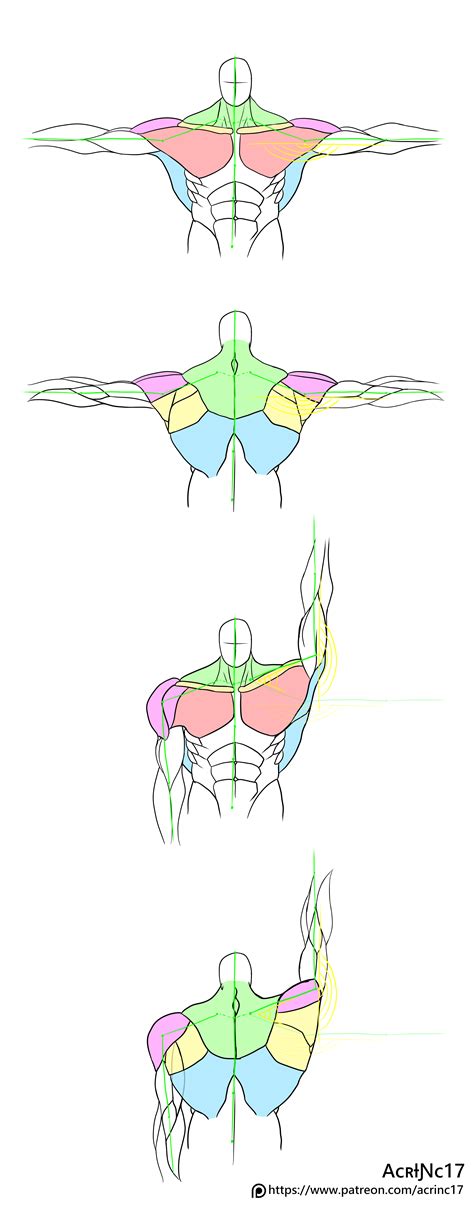 How To Rotate Arms By Acrinc17 On Newgrounds