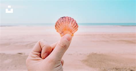 조개껍데기를 들고 바다를 바라보고 있는 사람 사진 Unsplash의 무료 바다 이미지