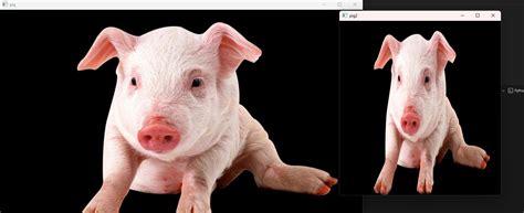 Pythonopencv图像处理从入门到实践：详解图像操作与视频处理python Opencv从入门到实践 Csdn博客