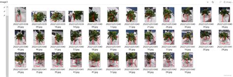Python 图片批量打标签python图片打标签 Csdn博客