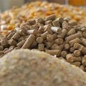 饲料继续上涨新希望通威海大正大傲农安佑大北农禽料再涨 元 吨 产品 其他 科技
