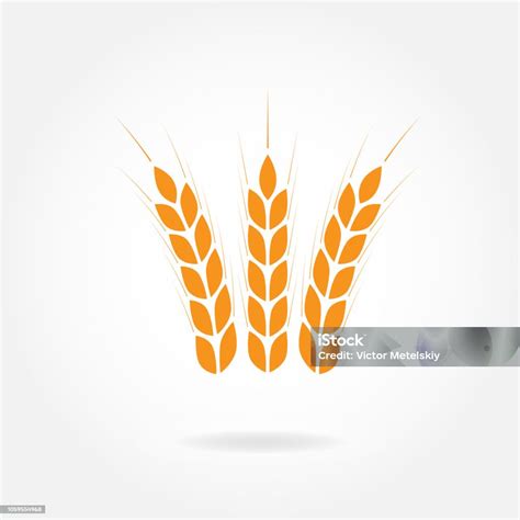 밀 귀 아이콘 또는 기호입니다 자르기 또는 흰색 배경에 고립 된 농업 기호입니다 빵 포장 또는 맥주 라벨에 대 한 요소를 디자인 합니다 벡터 일러스트입니다 모양에 대한 스톡