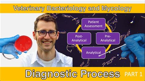 Diagnostic Process Part 1 Veterinary Bacteriology And Mycology