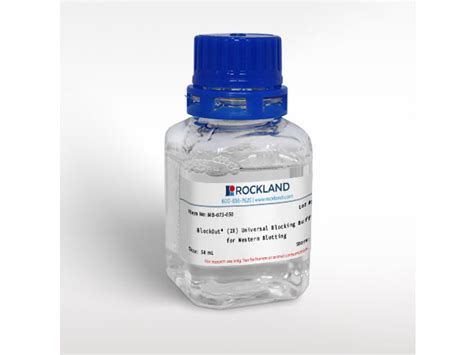BlockOut 2X Universal Blocking Buffer For Western Blotting MB 073 050 Rockland