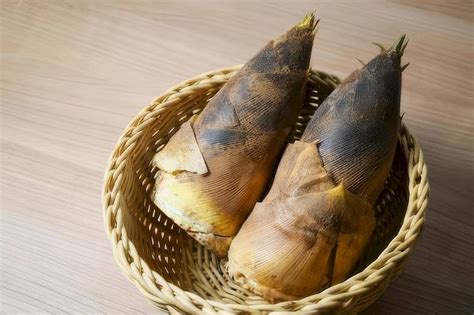 죽순의 효능과 주요 영양 성분들의 기대 효과 Nofat