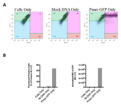 Fig A1 Setting Up Flow Cytometry Parameters According To Download Scientific Diagram
