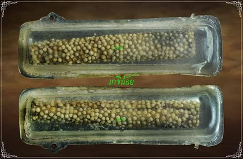 ตะกรุดหนังกระเบน หลวงพ่อน้อย วัดคงคาราม พิจิตร สร้างปี 2480 2490